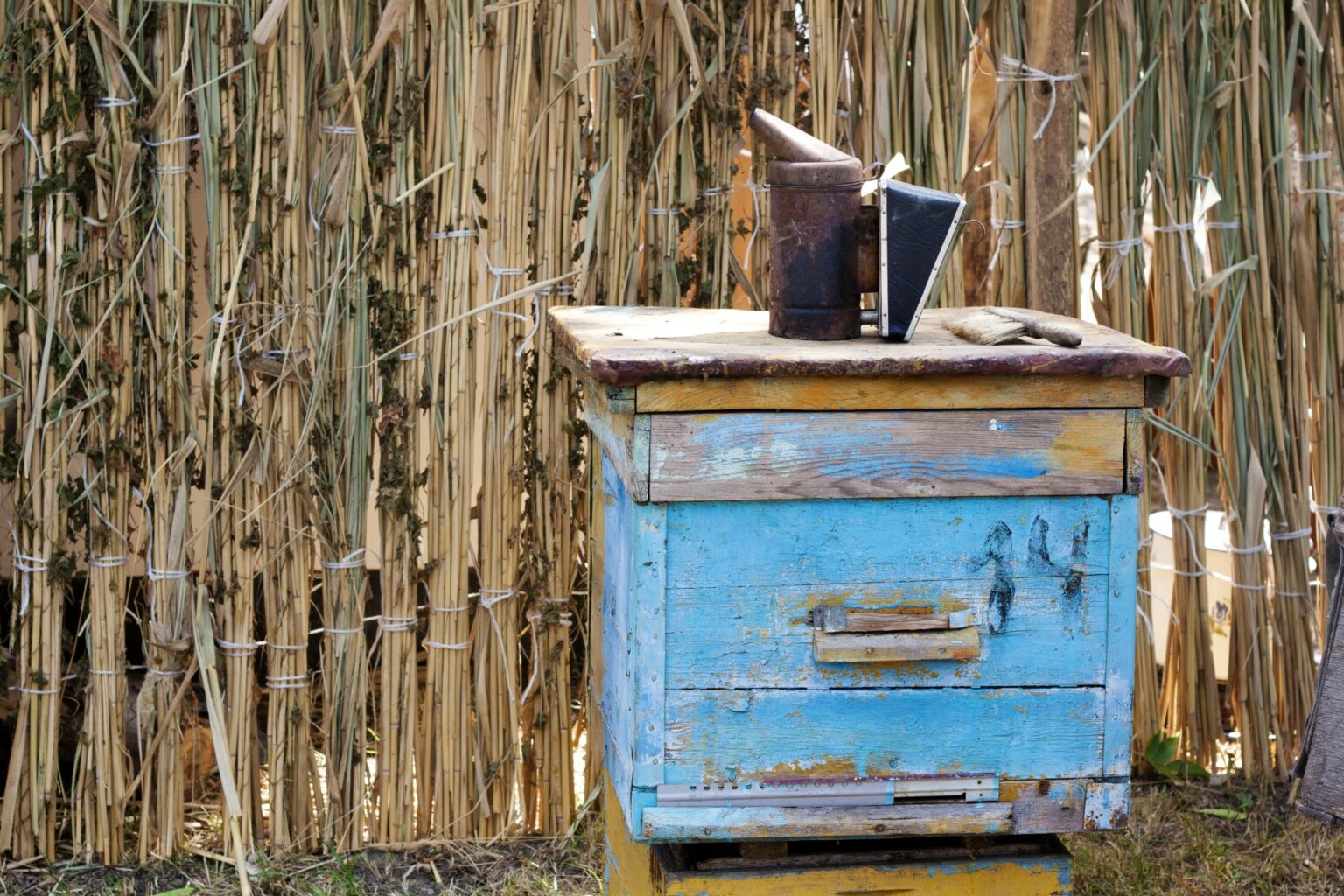 The Best Place for Your Beehives - Live Bee Removal